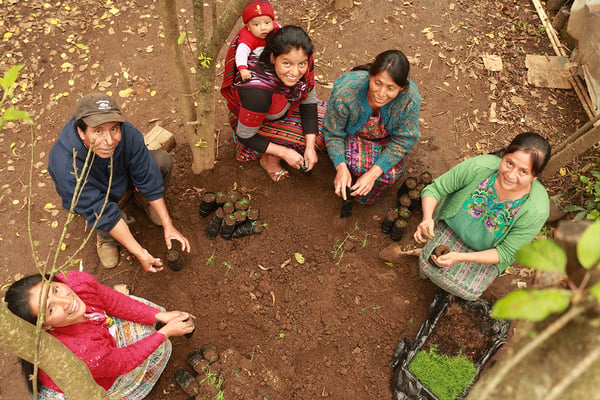 Planting Is an Act of Faith