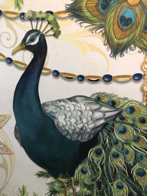 Peacocks in Christian Symbolism and Other Family Distractions