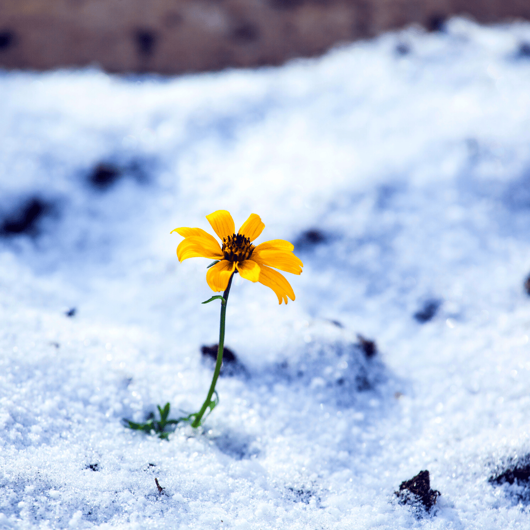 6 Ways to Activate Hope in Our Lives