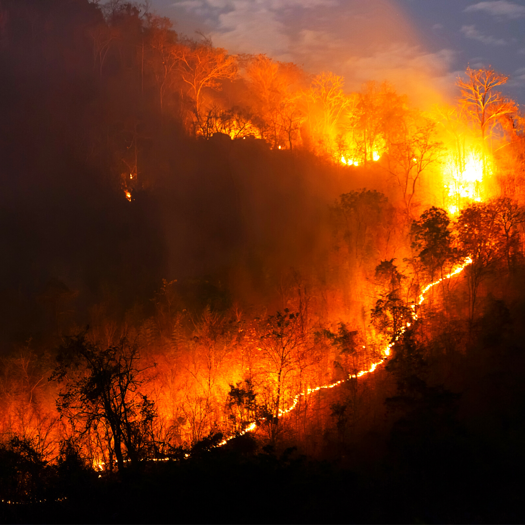 God’s Shield from the Fire