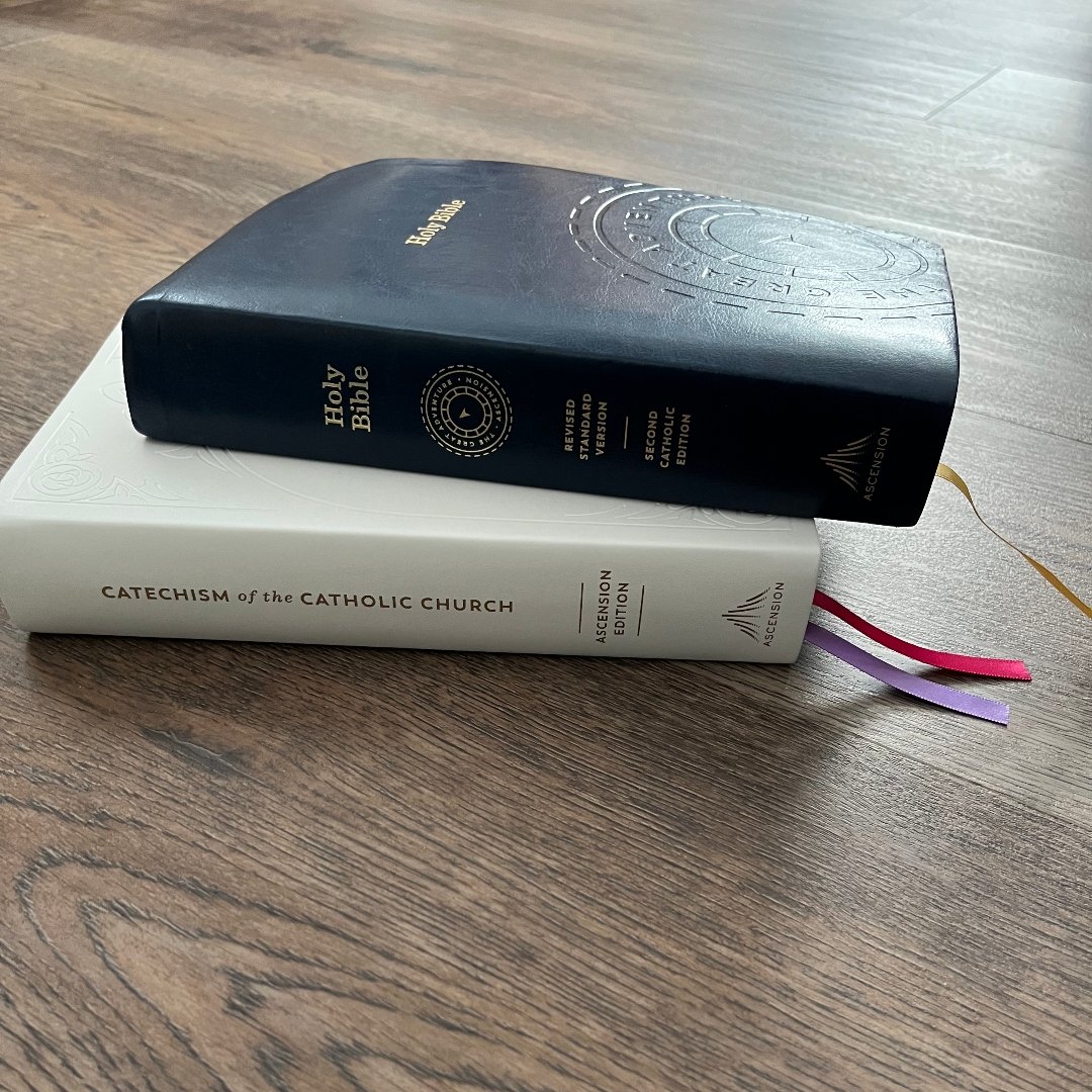 Plan to Read the Catechism in a Year