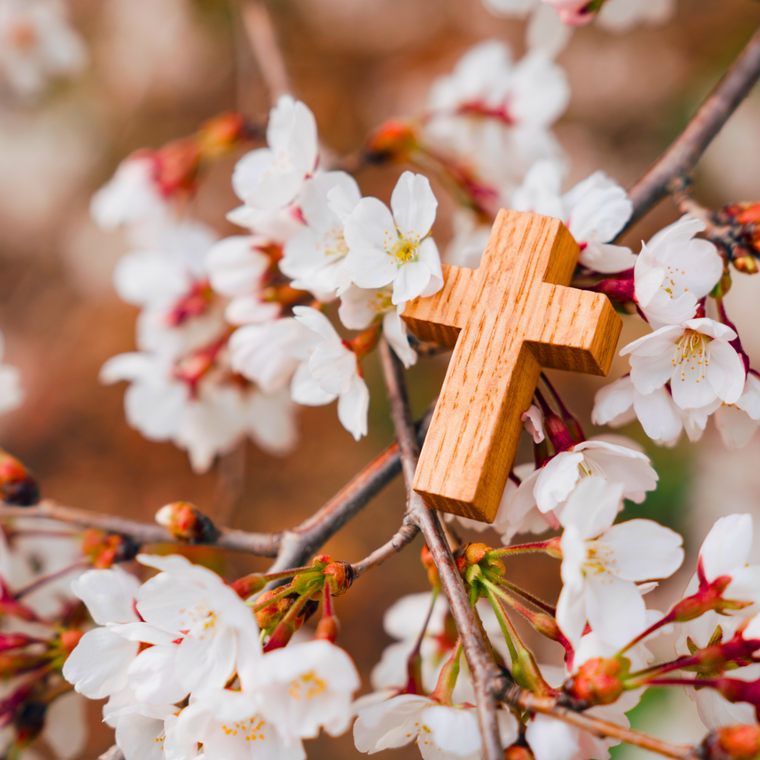 A Lenten Devotion: 40 Crosses for 40 Days