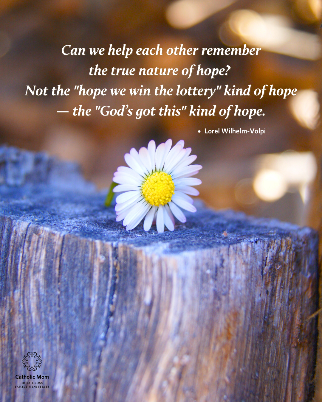 Hope in a Hopeless World