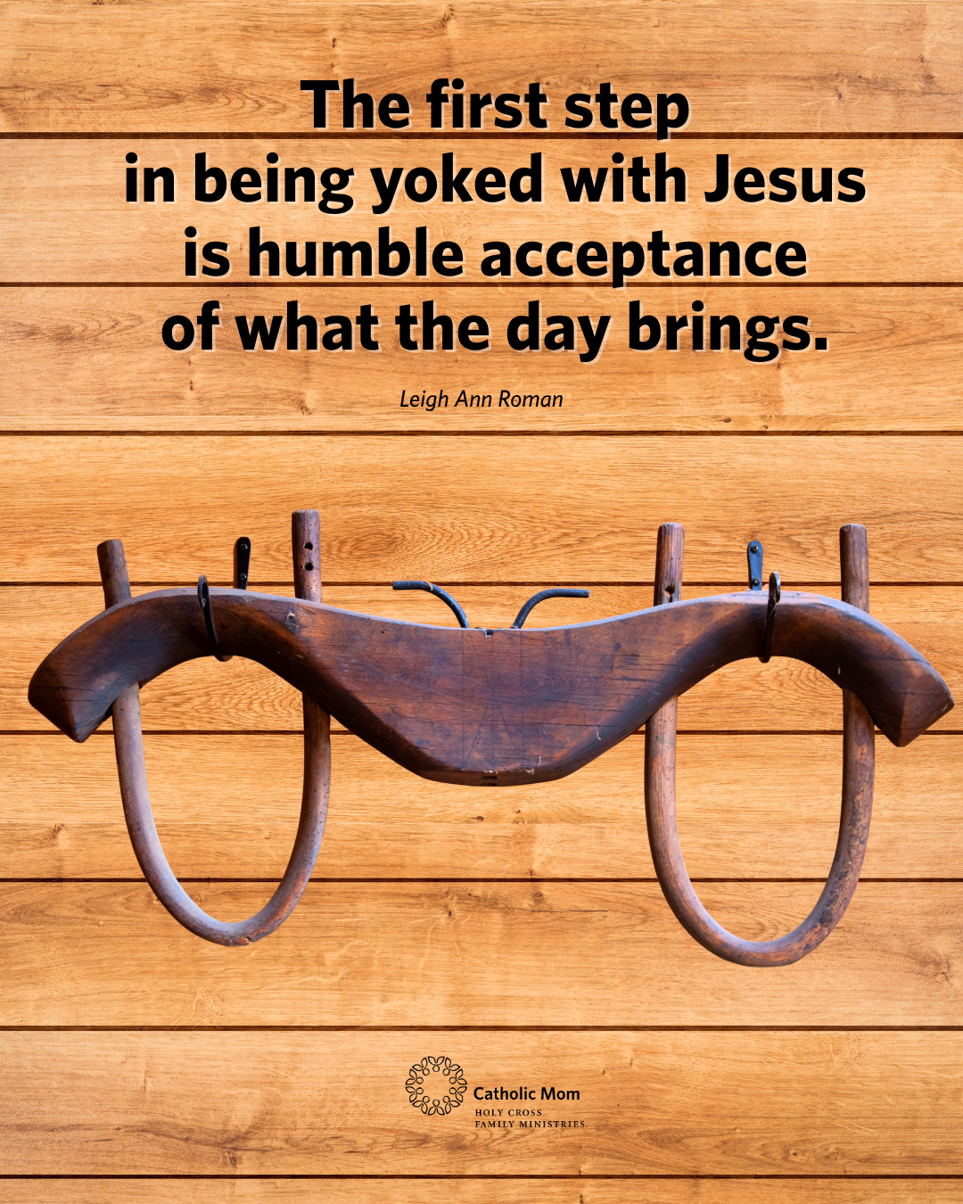 Yoking Ourselves with Jesus