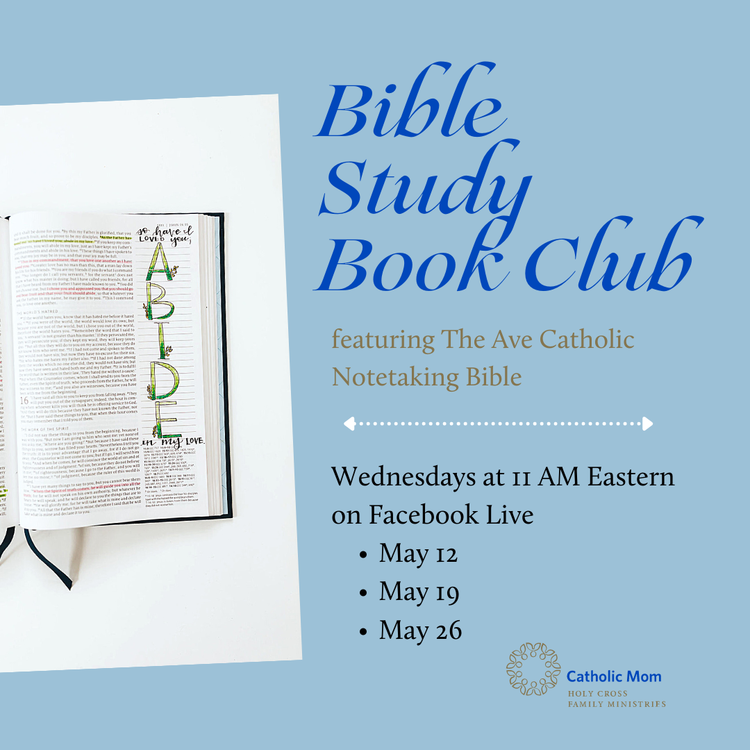 Bible Study Book Club with the Ave Catholic Notetaking Bible