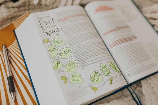 Bible Study Book Club with the Ave Catholic Notetaking Bible