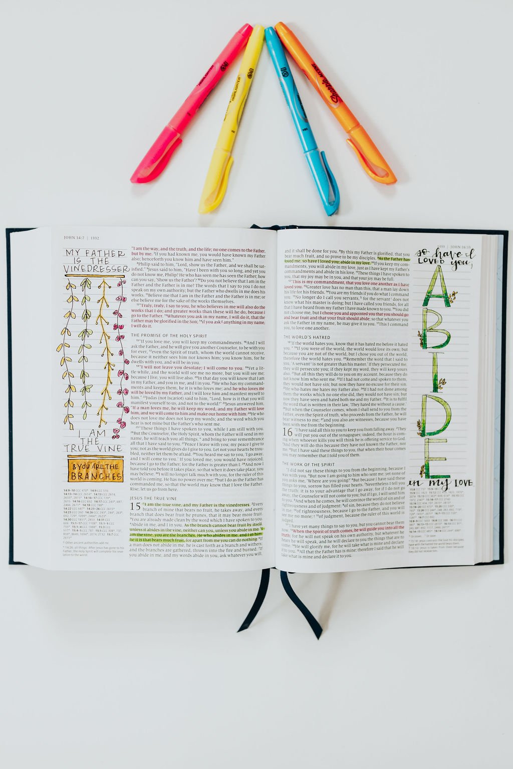 Bible Study Book Club with the Ave Catholic Notetaking Bible