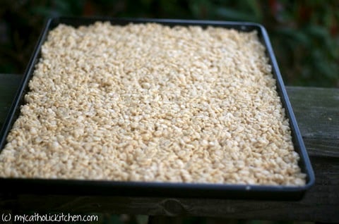 Caramel Cross Crispy Treats
