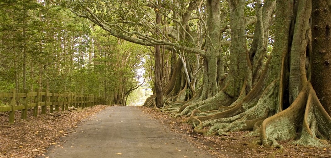St. Nathaniel and the Sacrament of Reconciliation