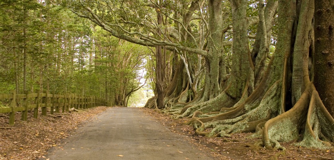 St. Nathaniel and the Sacrament of Reconciliation