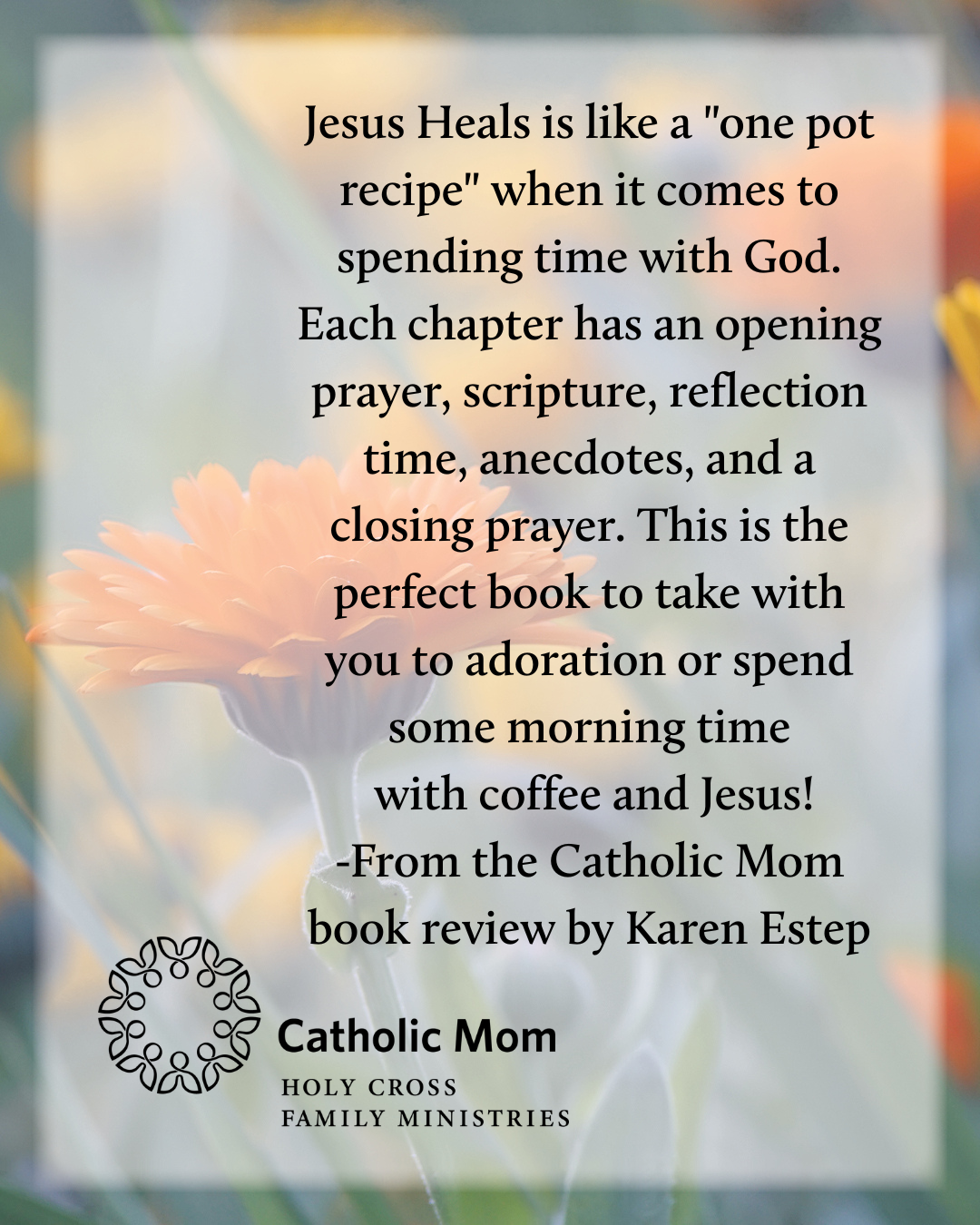 Catholic Mom Virtual Book Club—Jesus Heals
