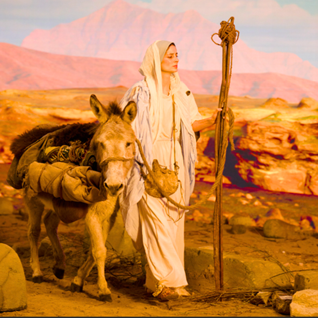 Film Review: I Am the Immaculate Conception