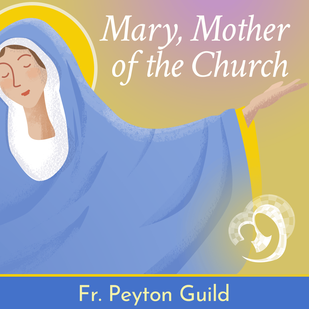 Pray the Rosary with the Father Peyton Prayer Guild: September 16